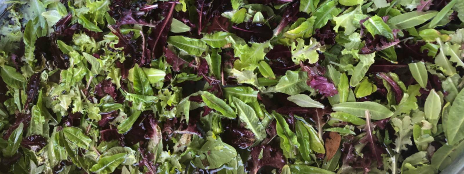 Find Our Food - maedayfarm.com
